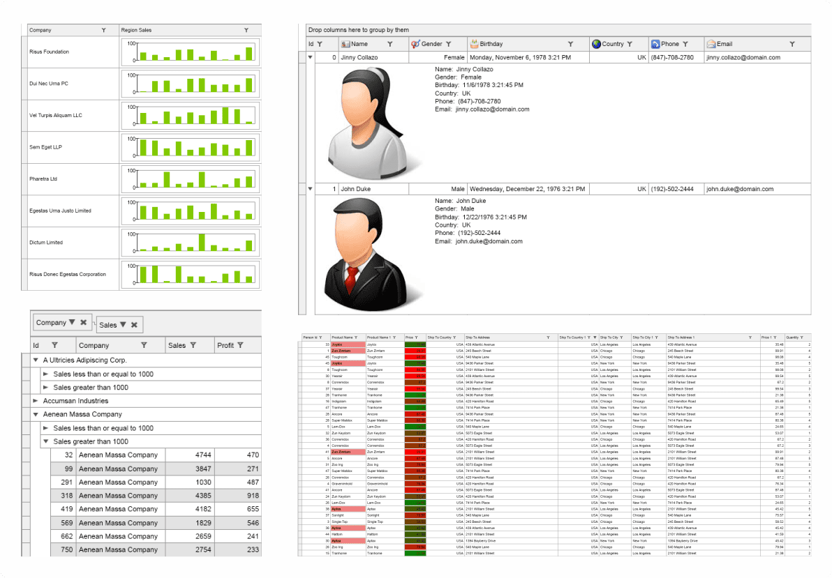 NET OPEN VISION | PAVIATH INTEGRATED SOLUTION